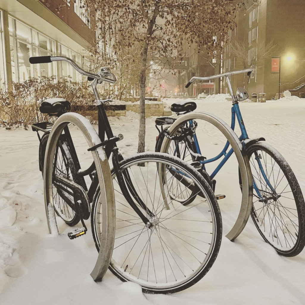 The Plain Bicycle Project